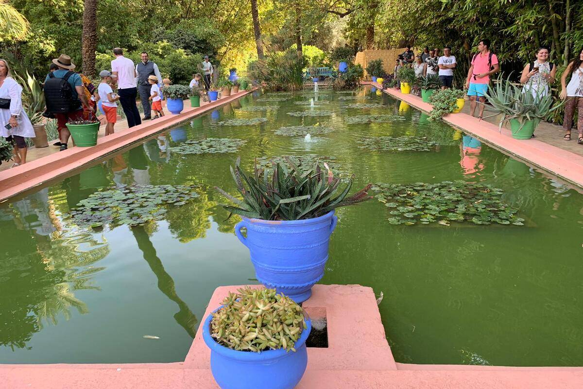 Giardini Majorelle: cosa vedere in quest'oasi di Marrakech